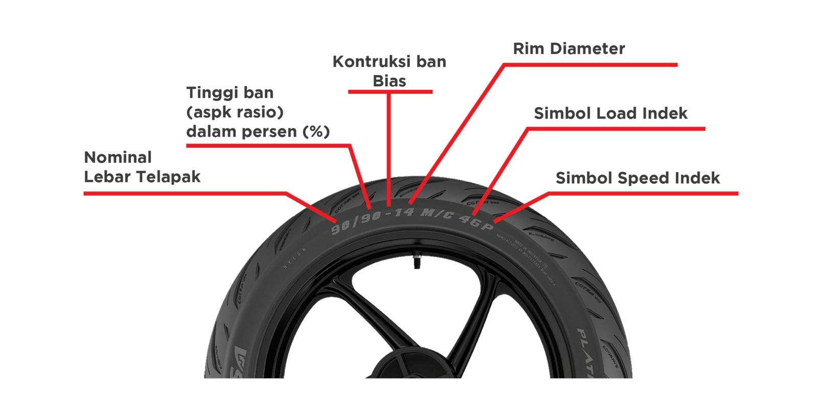 FAQs | CORSA